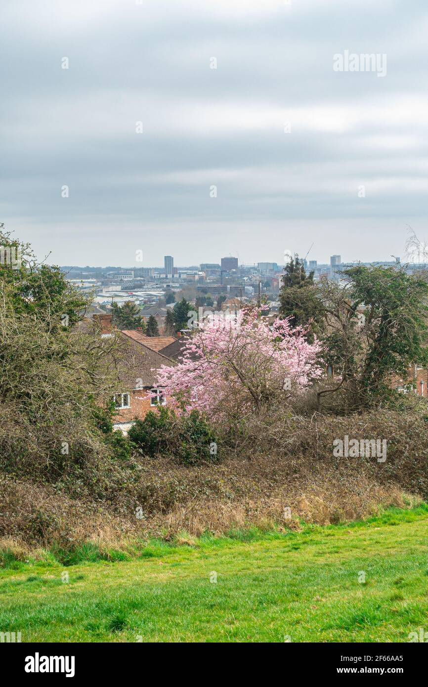 Reading skyline hi-res stock photography and images - Alamy