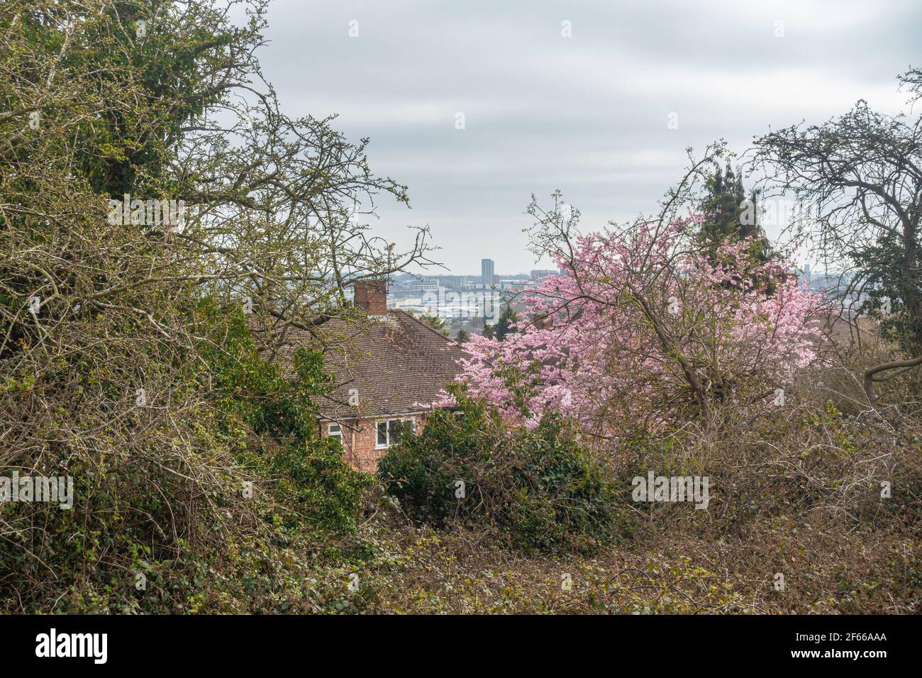 Reading skyline hi-res stock photography and images - Alamy