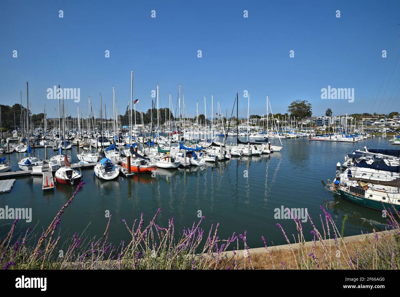Landscape with sailing boats at the Santa Cruz harbor Yacht Club in ...