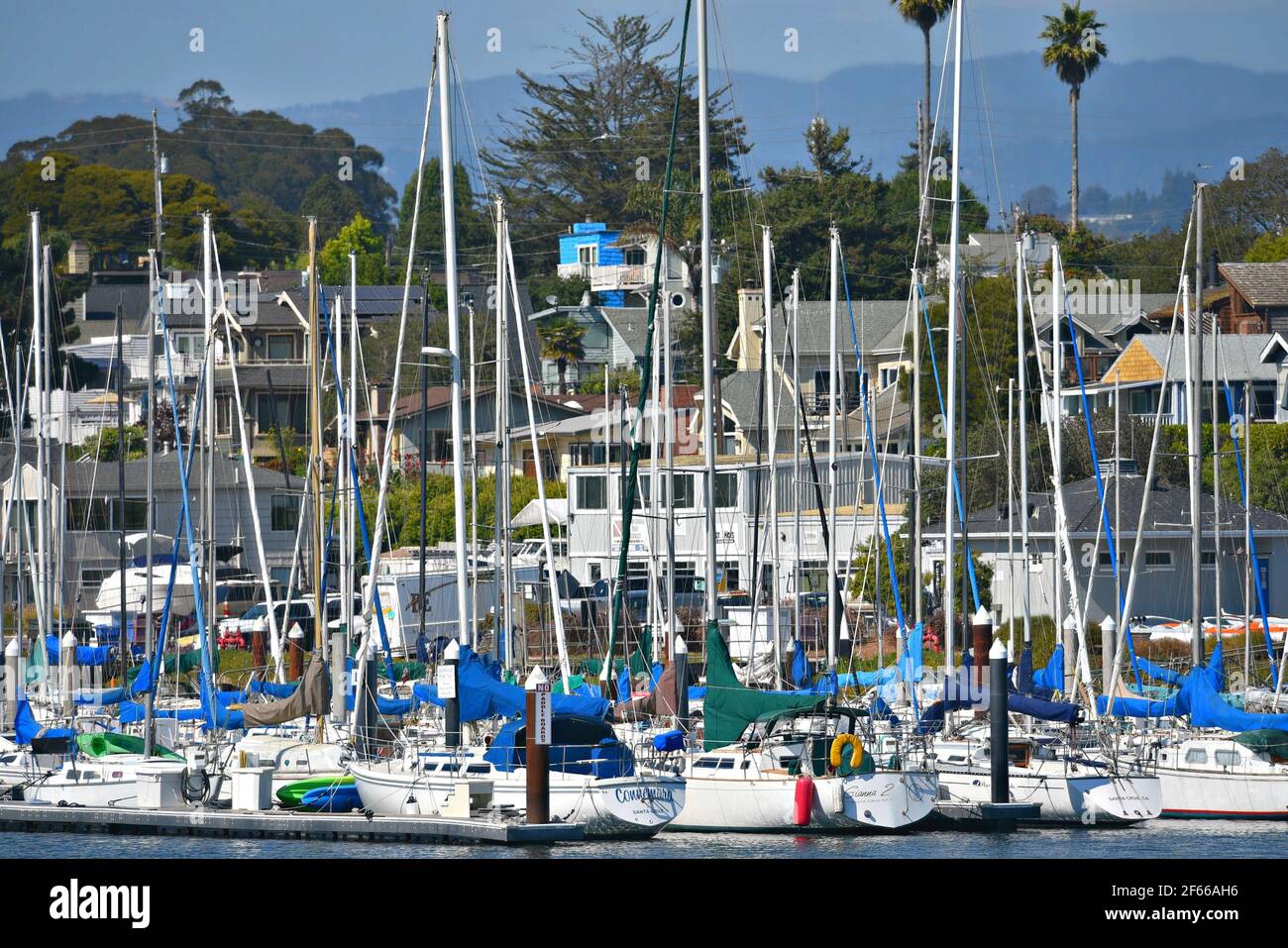 Landscape with sailing boats at the Santa Cruz harbor Yacht Club in ...