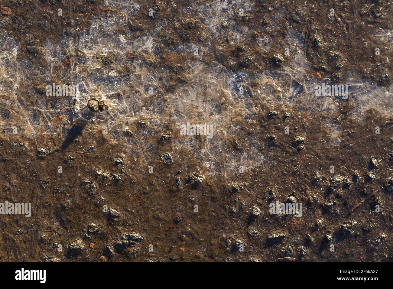 Black ice hi-res stock photography and images - Alamy