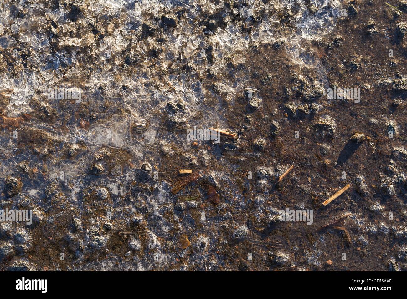 Black ice hi-res stock photography and images - Alamy