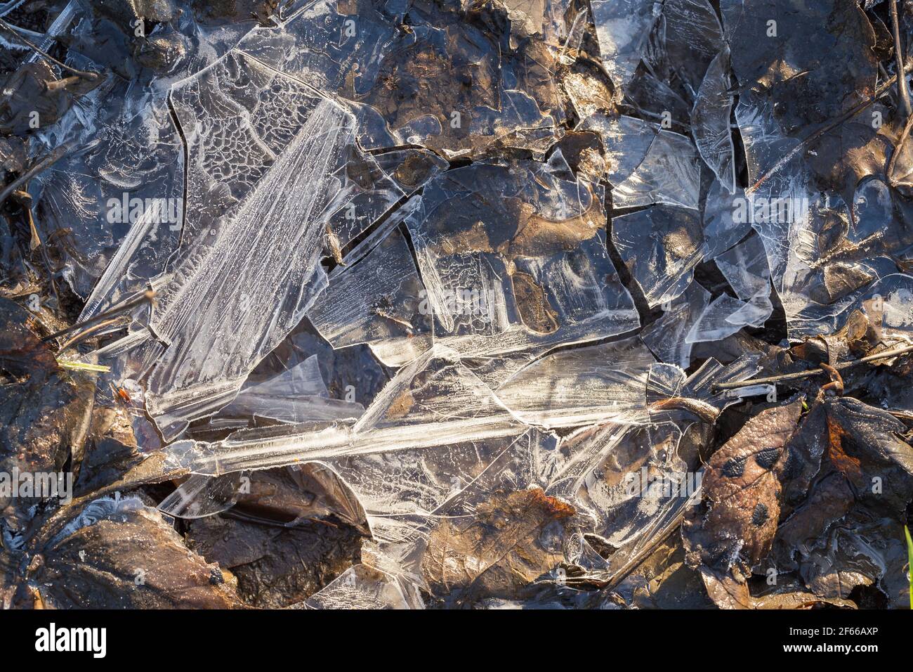 Shattered Ice on Muddy Soil Stock Photo - Alamy