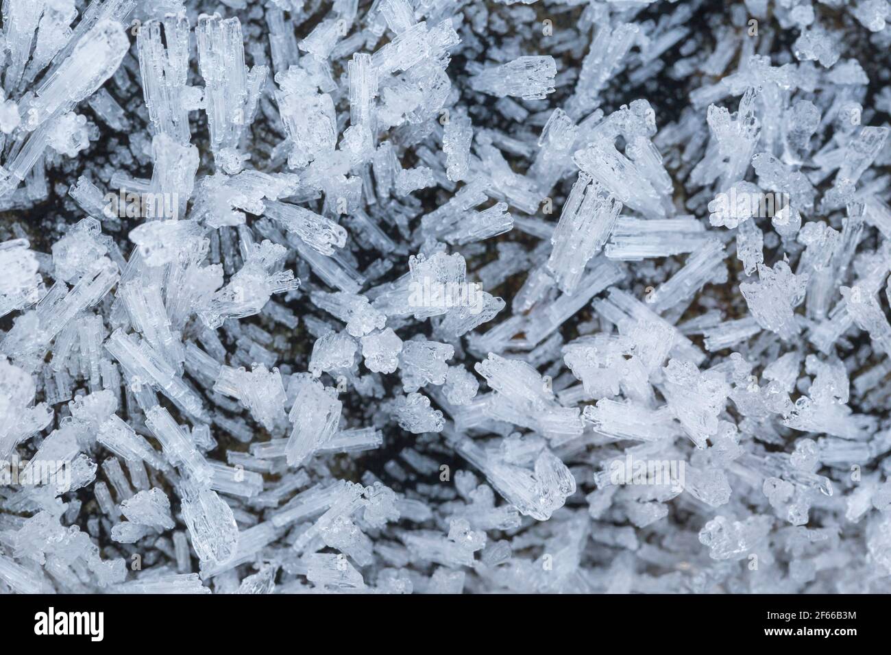 White Snow Crystals Close up Stock Photo - Alamy