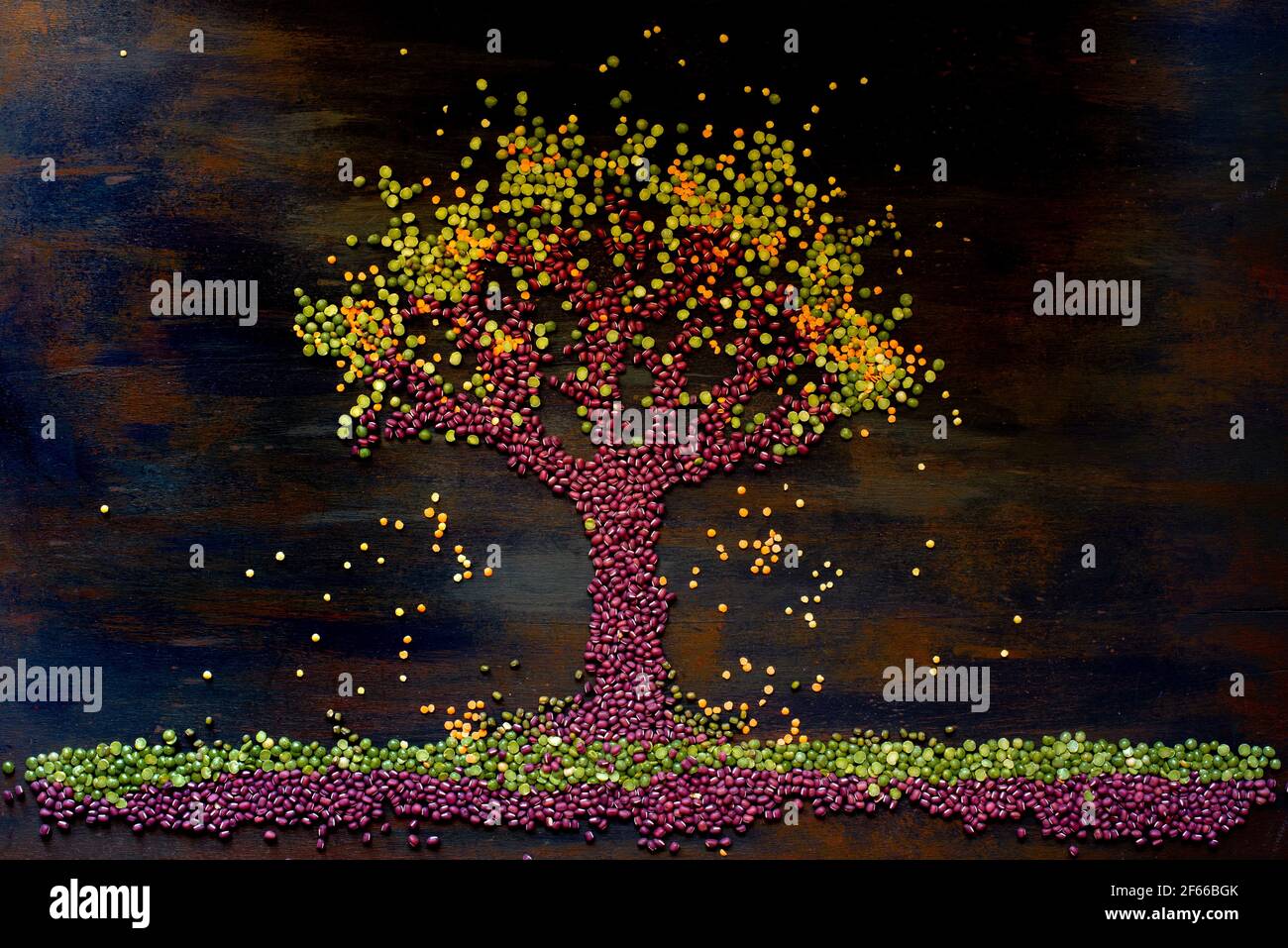 vegan tree concept conceptual awareness of vegetarian education no OGM ...