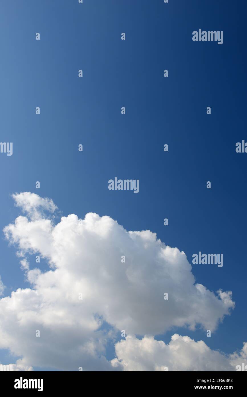 Oxygen environment hi-res stock photography and images - Alamy