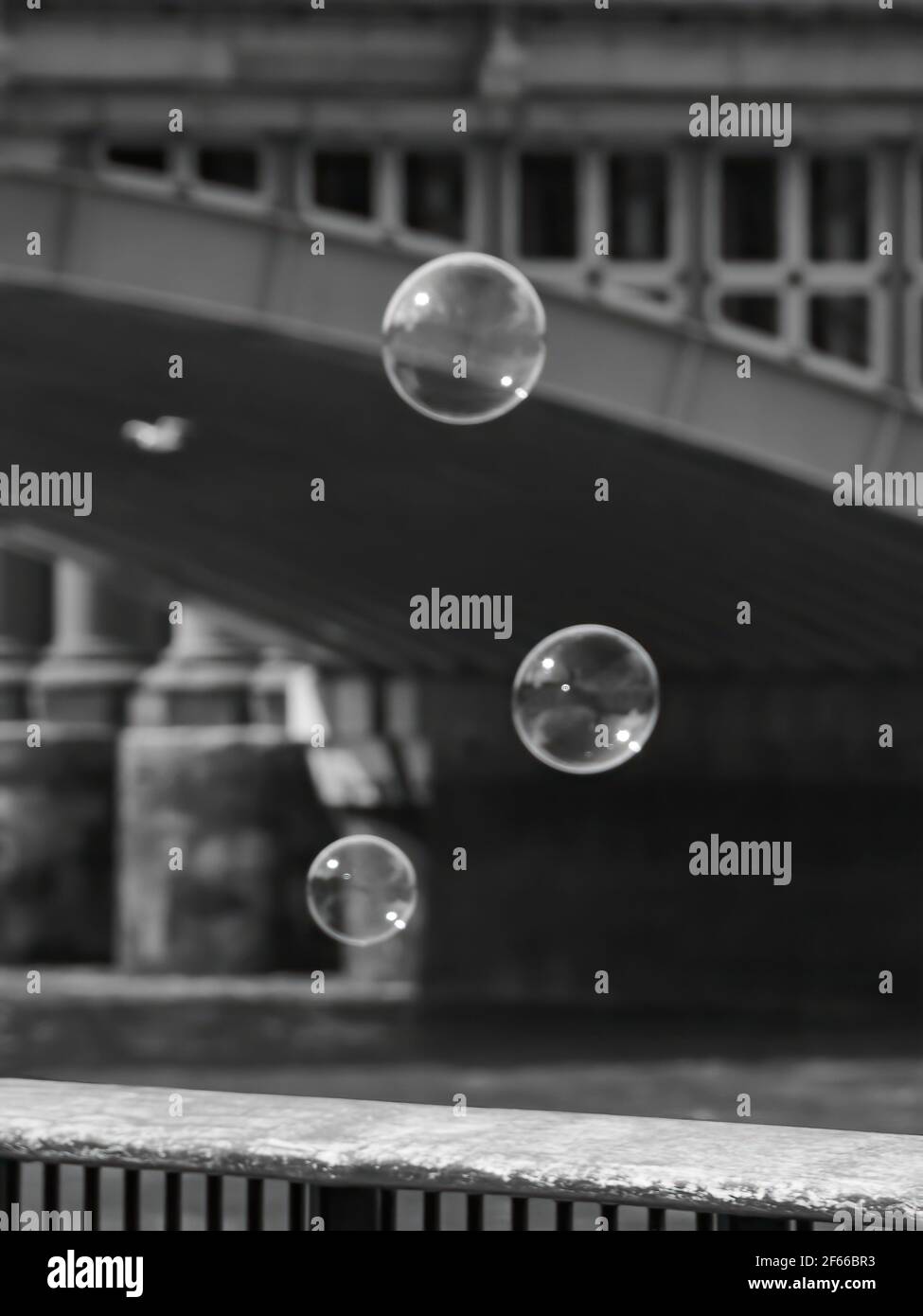 Light, peaceful image of a trio of soap bubbles rising into the summer ...