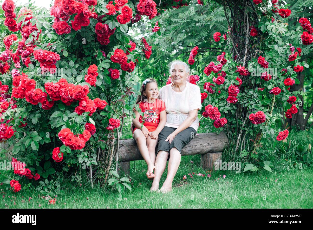 female line of generations in the family, the grandmother and ...