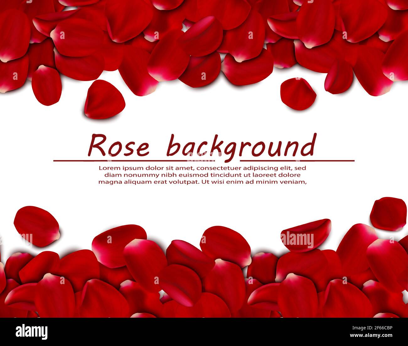 Vector realistic rose petals, horizontal banner background Stock Vector ...