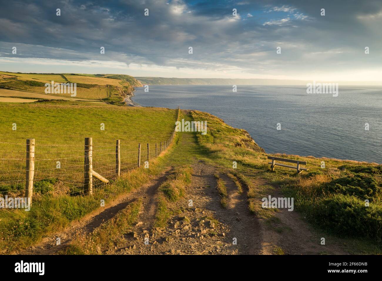 The South West Coast Path along the top of Cornborough Cliffs near ...