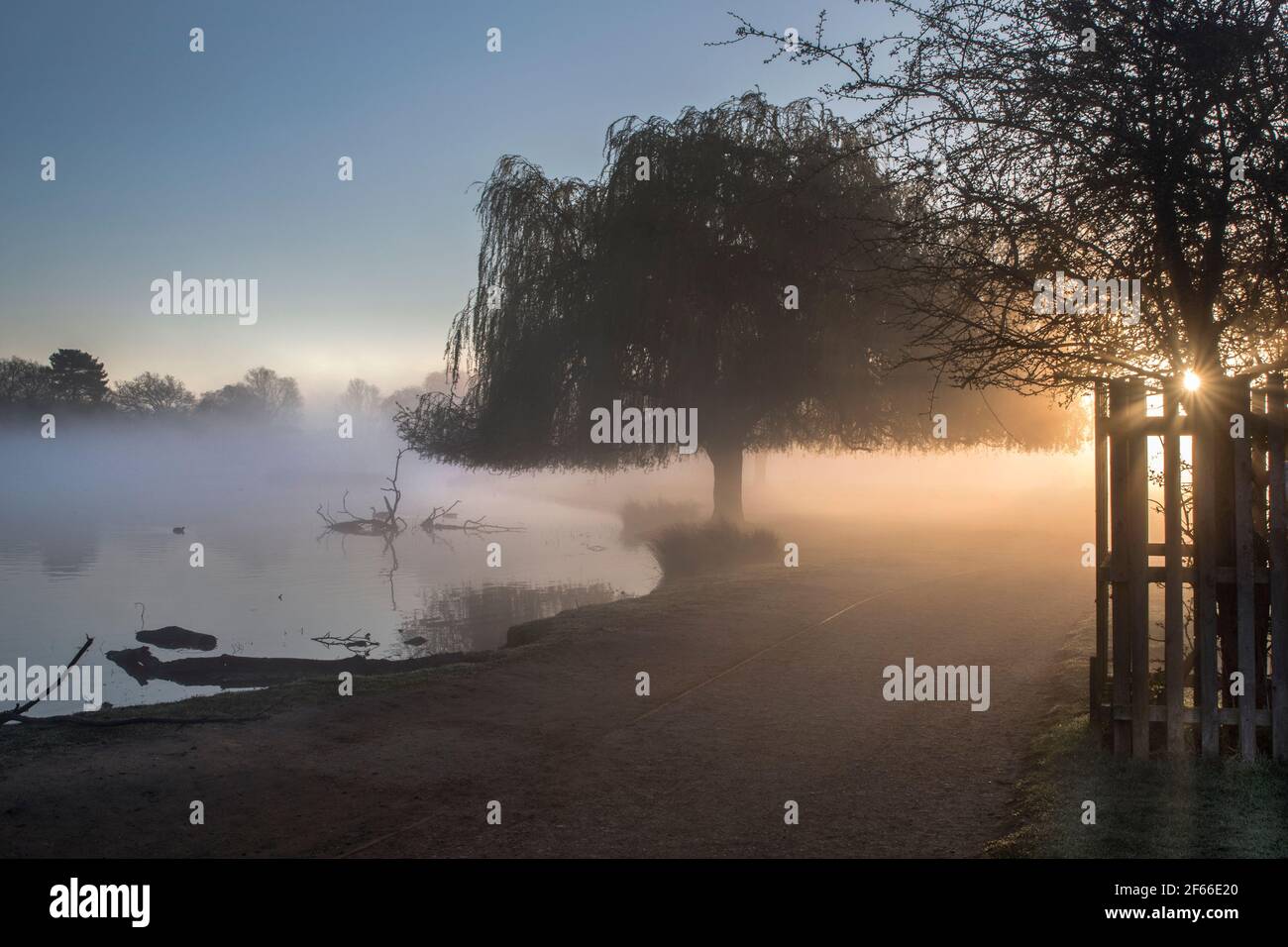 Gsthering mist hi-res stock photography and images - Alamy