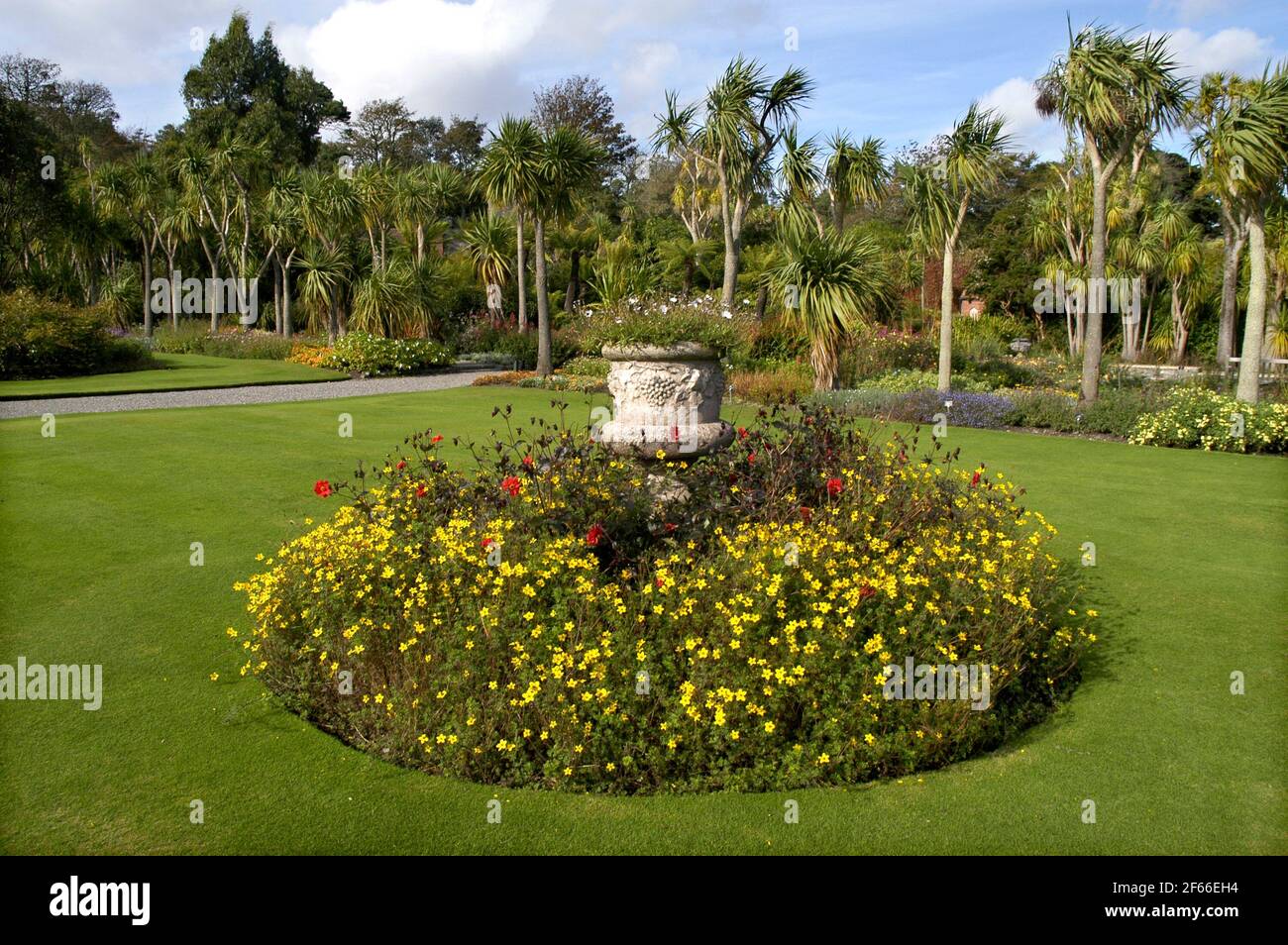 Logan Botanic gardens, Rhins of Galloway, Scotland, UK Stock Photo - Alamy