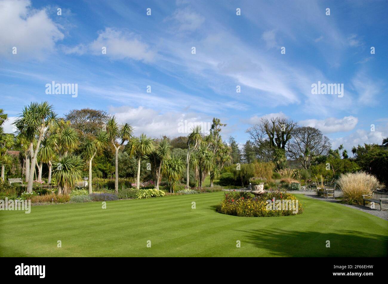 Logan Botanic gardens, Rhins of Galloway, Scotland, UK Stock Photo - Alamy