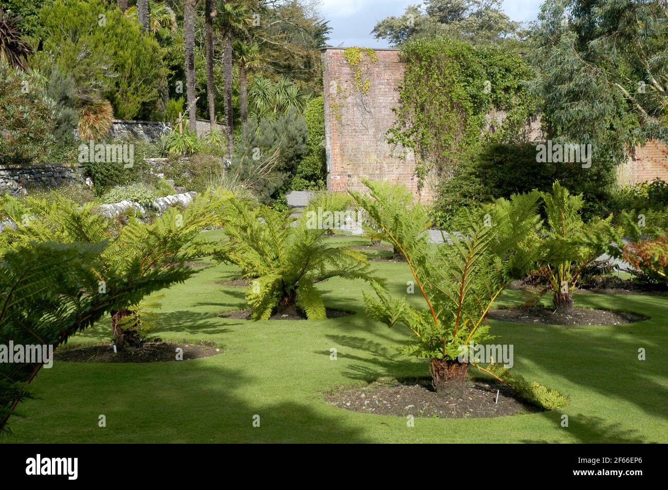 Logan Botanic gardens, Rhins of Galloway, Scotland, UK Stock Photo - Alamy