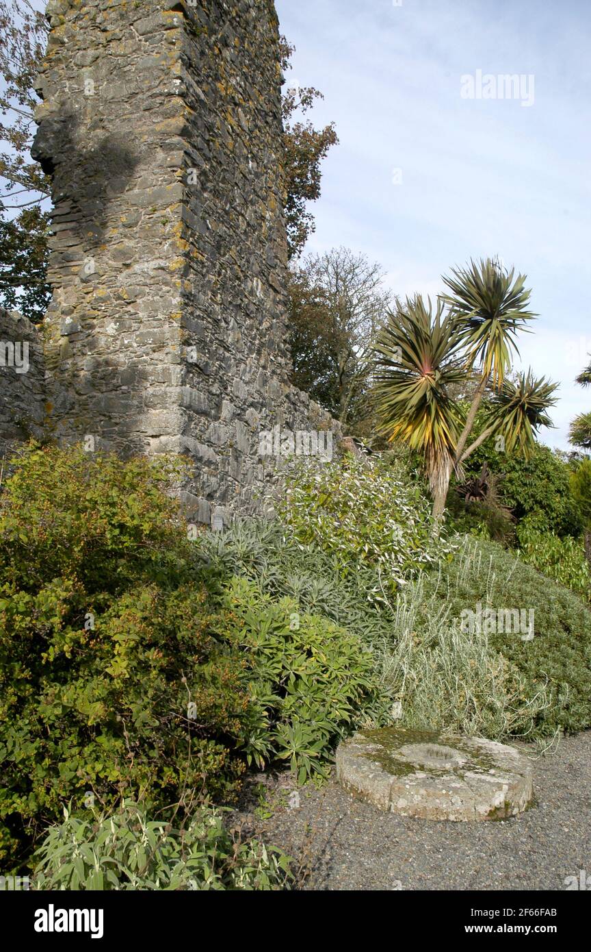 Logan Botanic gardens, Rhins of Galloway, Scotland, UK Stock Photo - Alamy