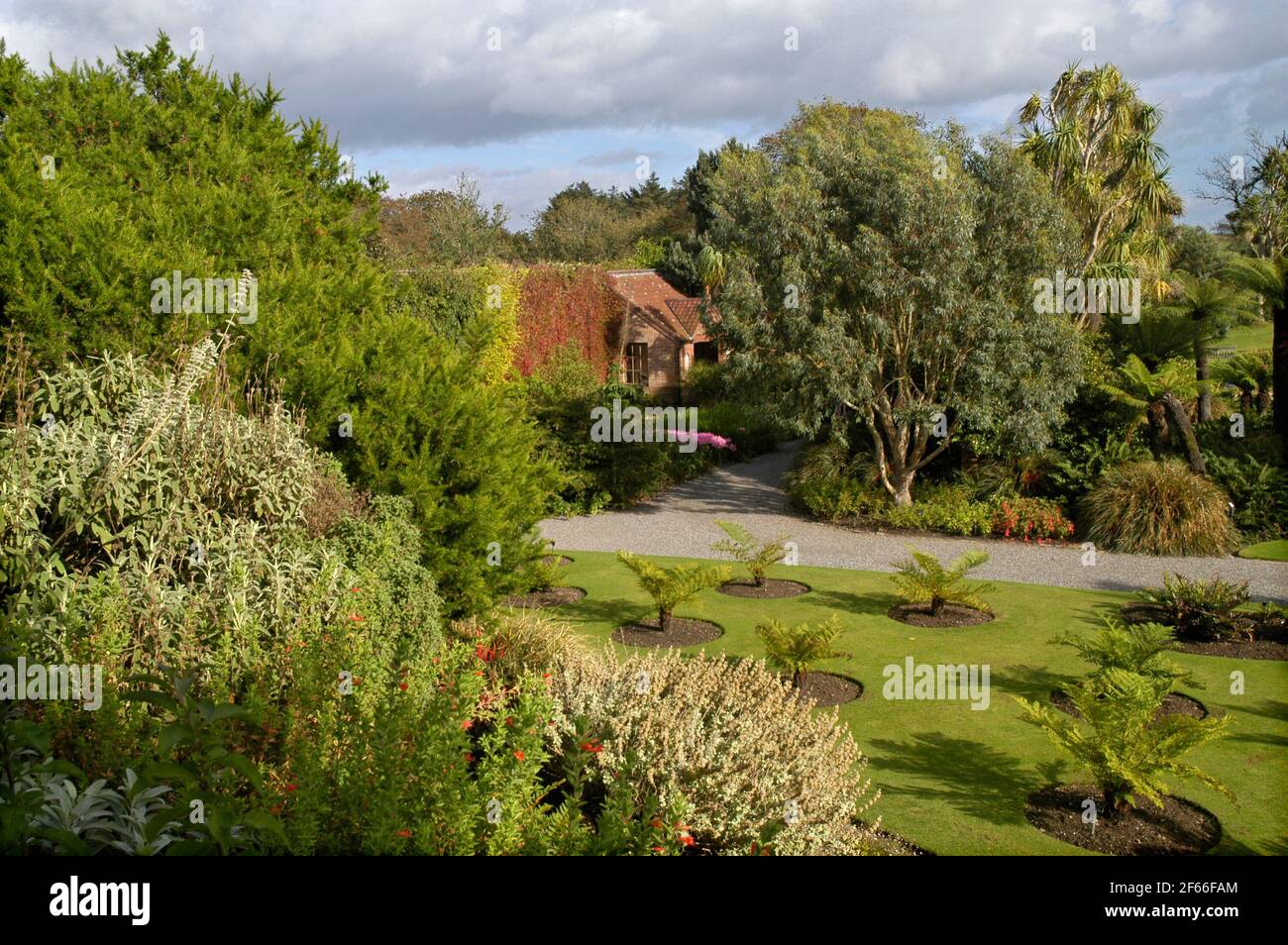Logan Botanic gardens, Rhins of Galloway, Scotland, UK Stock Photo - Alamy