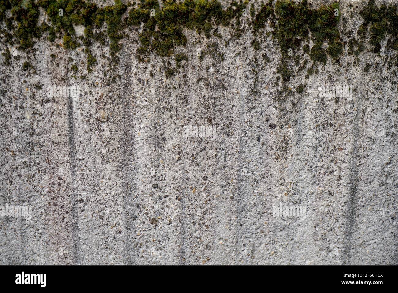 Mineral plasters as a background with strong structure, photographed in ...