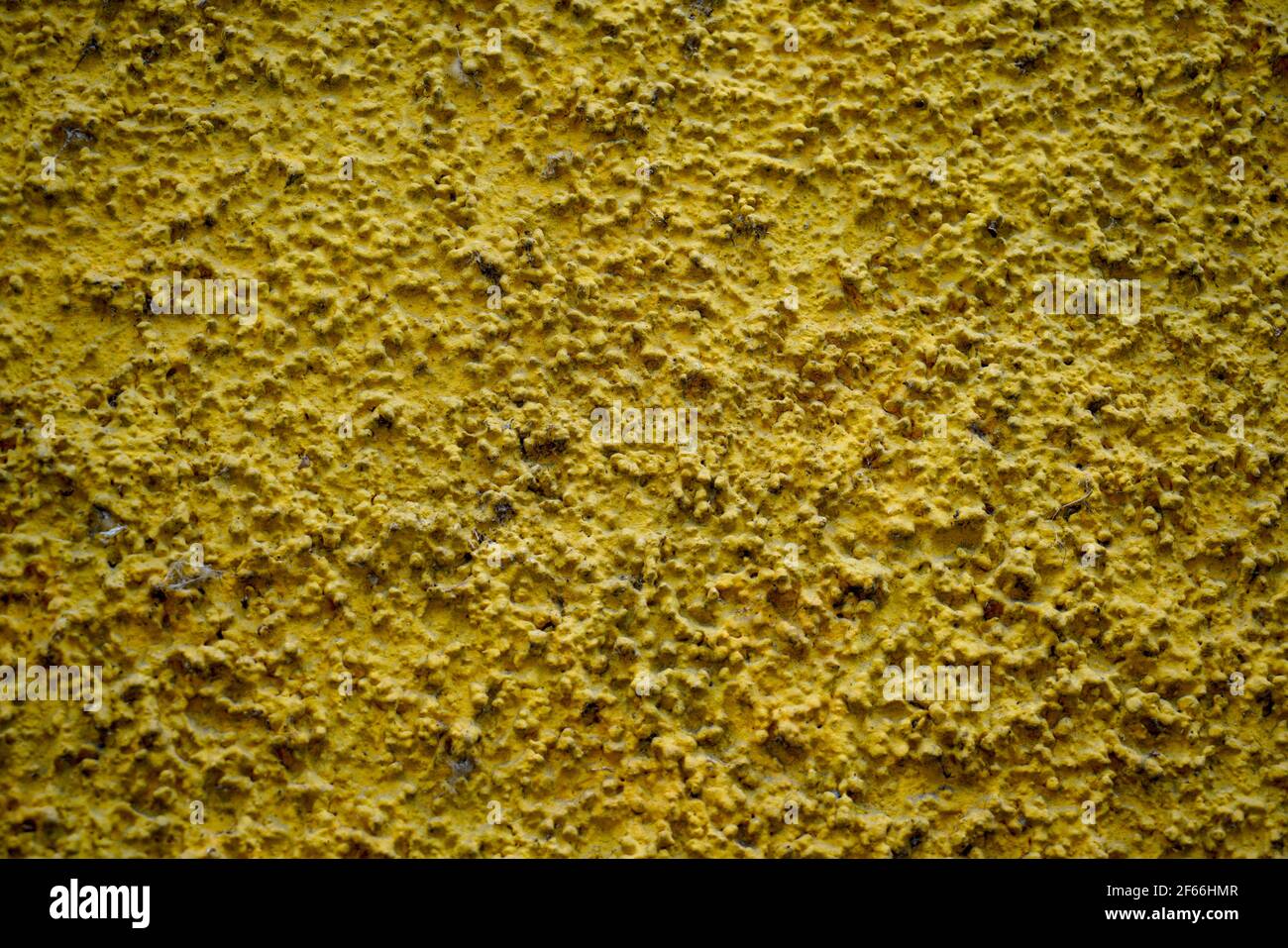 Mineral plasters as a background with strong structure, photographed in ...