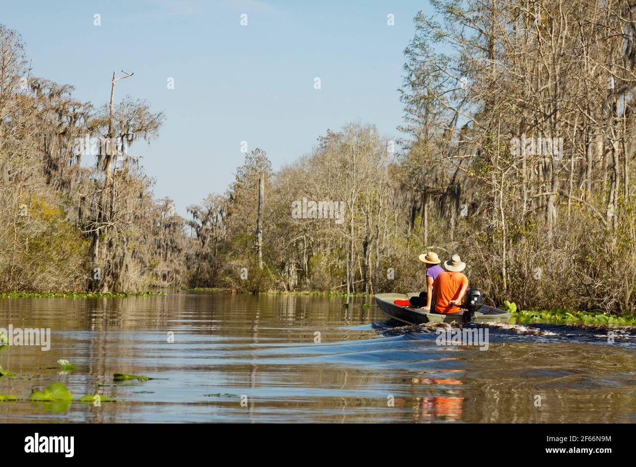 small motor boat, 2 people, touring swamp, water, trees, recreation ...