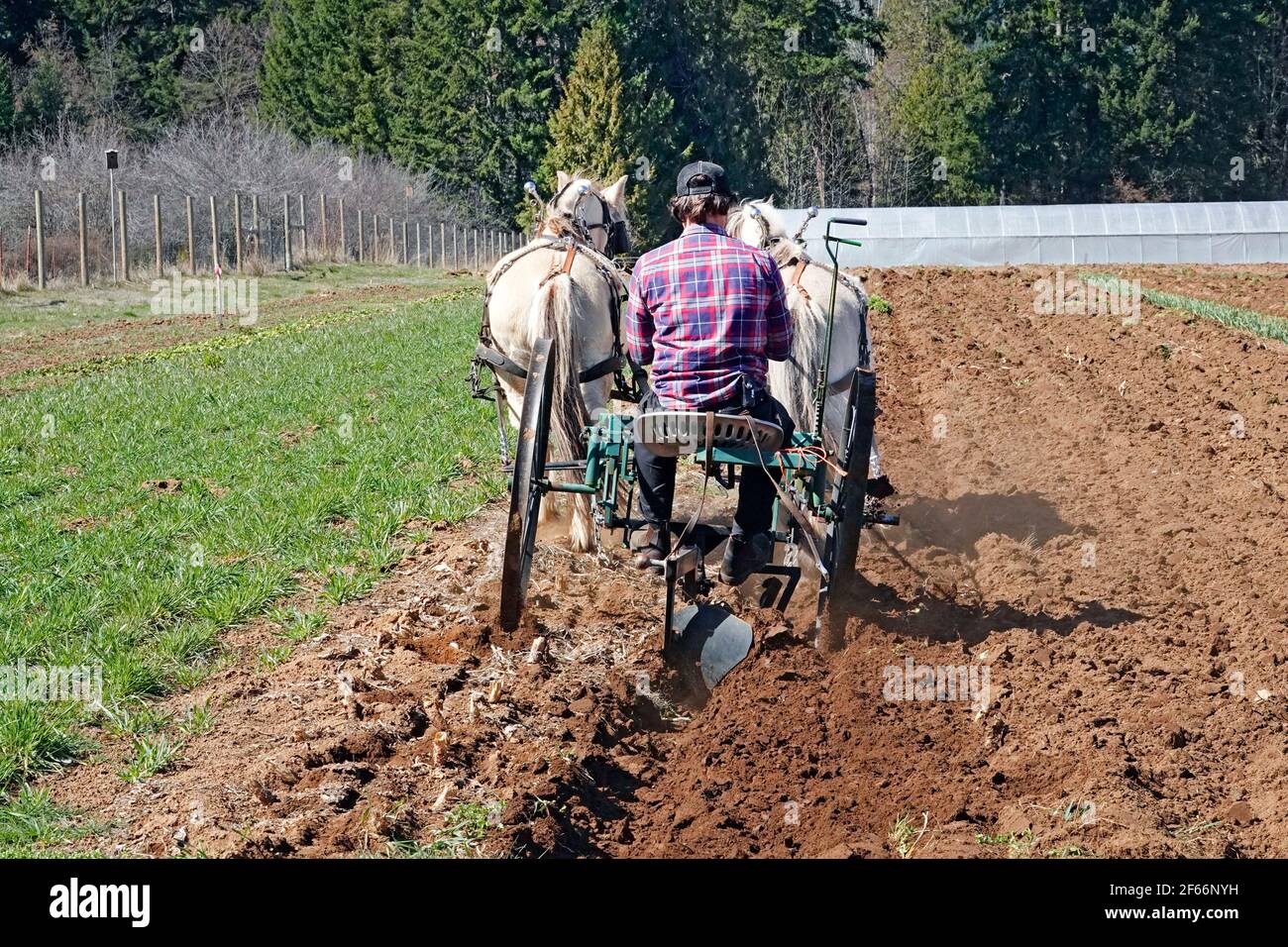 Horse drawn plow hi-res stock photography and images - Alamy