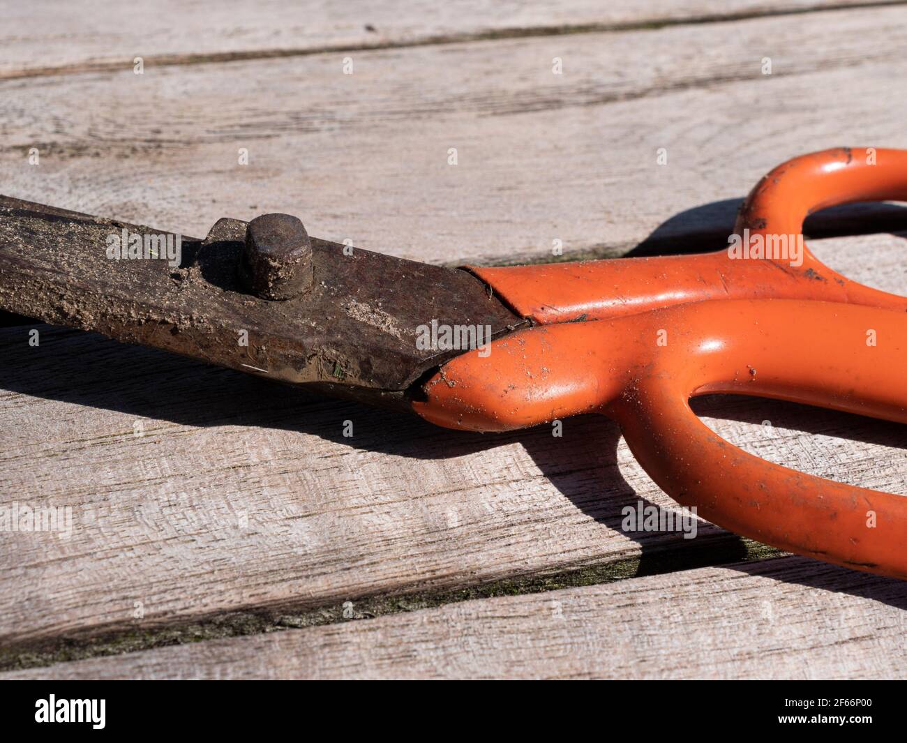Kitchen scissors hi-res stock photography and images - Alamy