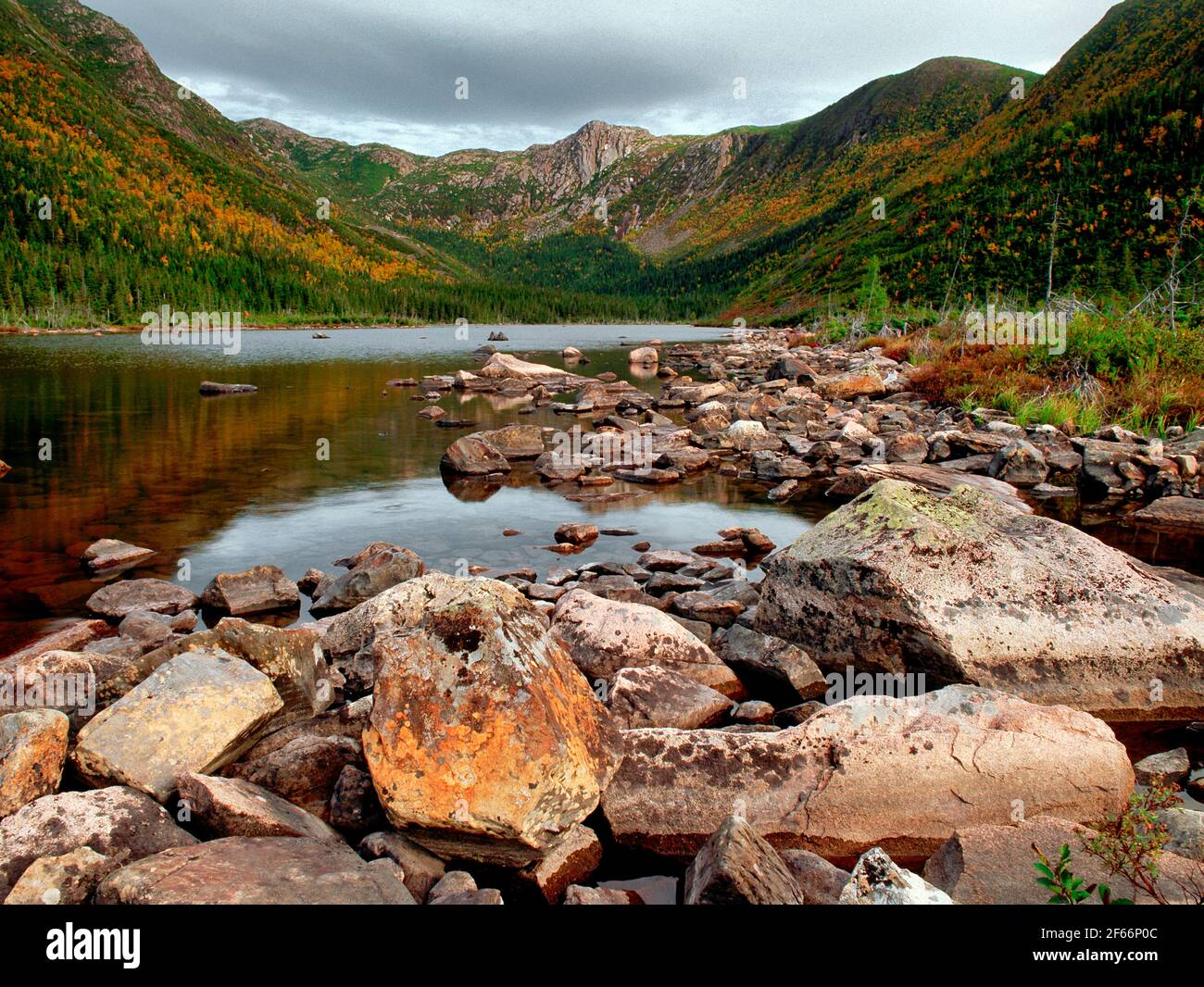 Parc de la gaspésie canada hi-res stock photography and images - Alamy
