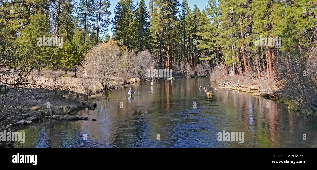 Fly fishing on the Metolius River in the Cascade Mountains of central ...