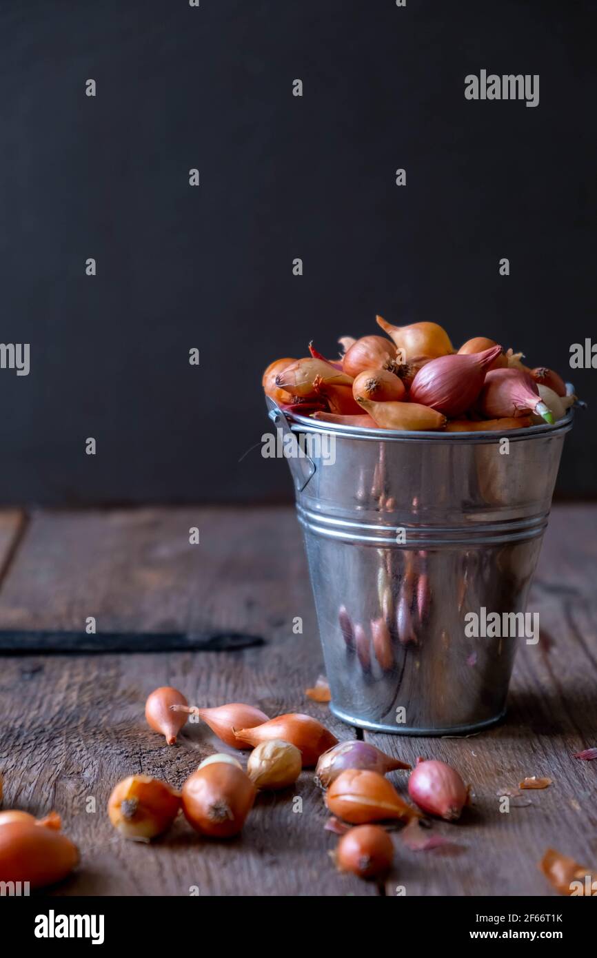 Onion bucket hi-res stock photography and images - Alamy