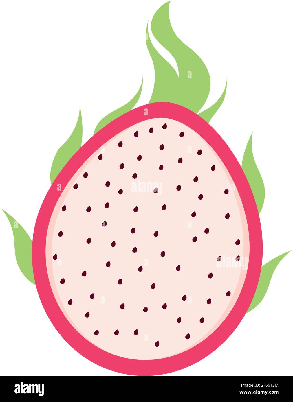 Pitaya dragonfruit isolated food Stock Vector Images - Alamy