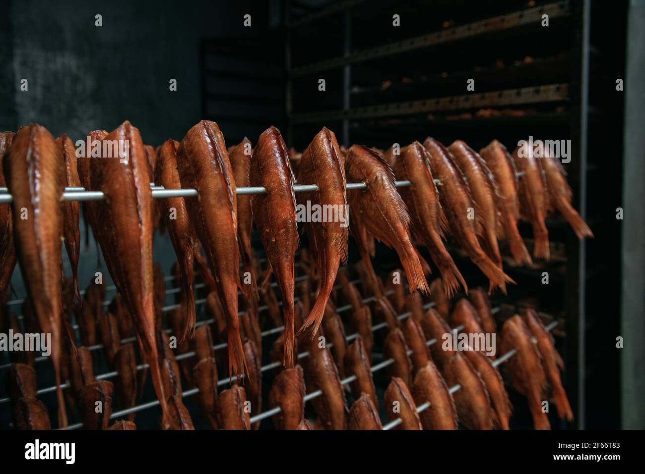 Traditional salmon smoking in smokehouse hi-res stock photography and ...