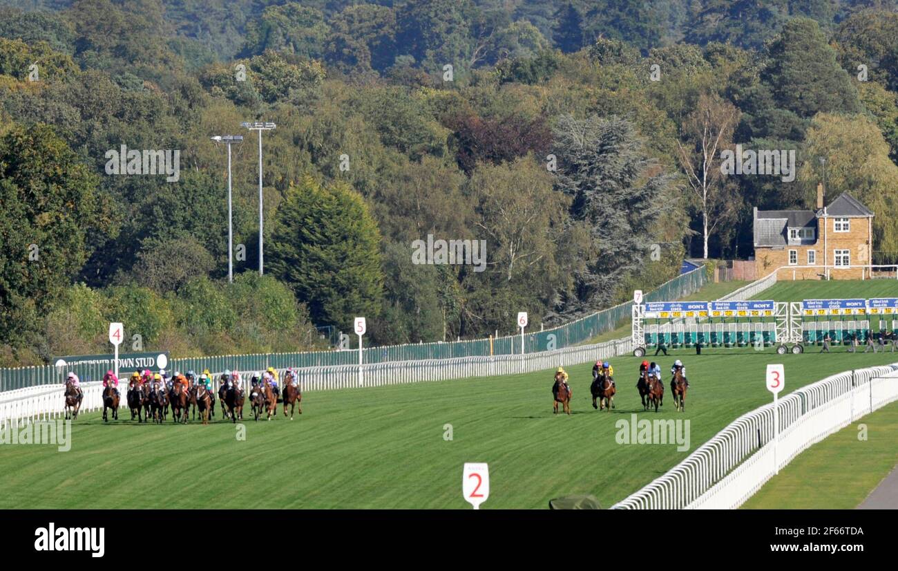 Racing at Ascot, The Watership Down Stud Race. 25/9/09. PICTURE DAVID ...