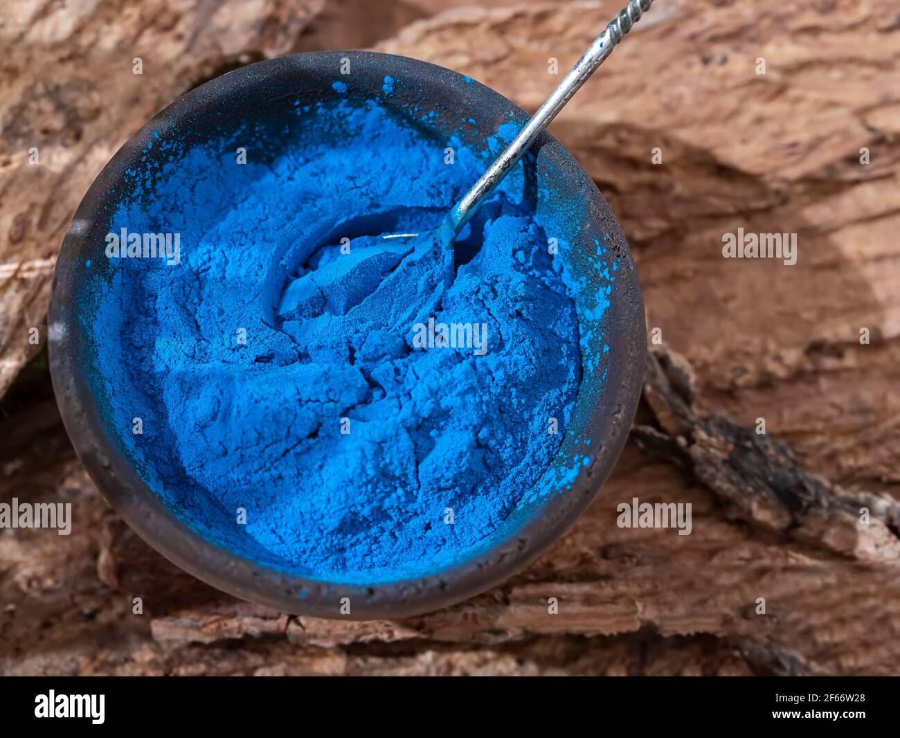 Blue Spirulina algae powder on gray concrete background. Concept ...