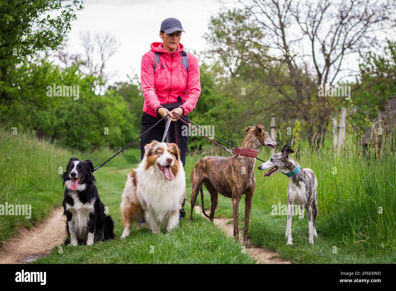 Leading trainer hi-res stock photography and images - Alamy