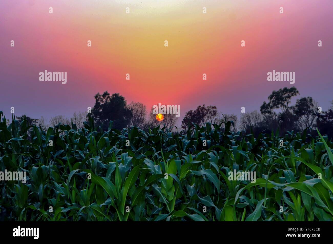 At the end of the day, the red sun is sinking like blood through the ...