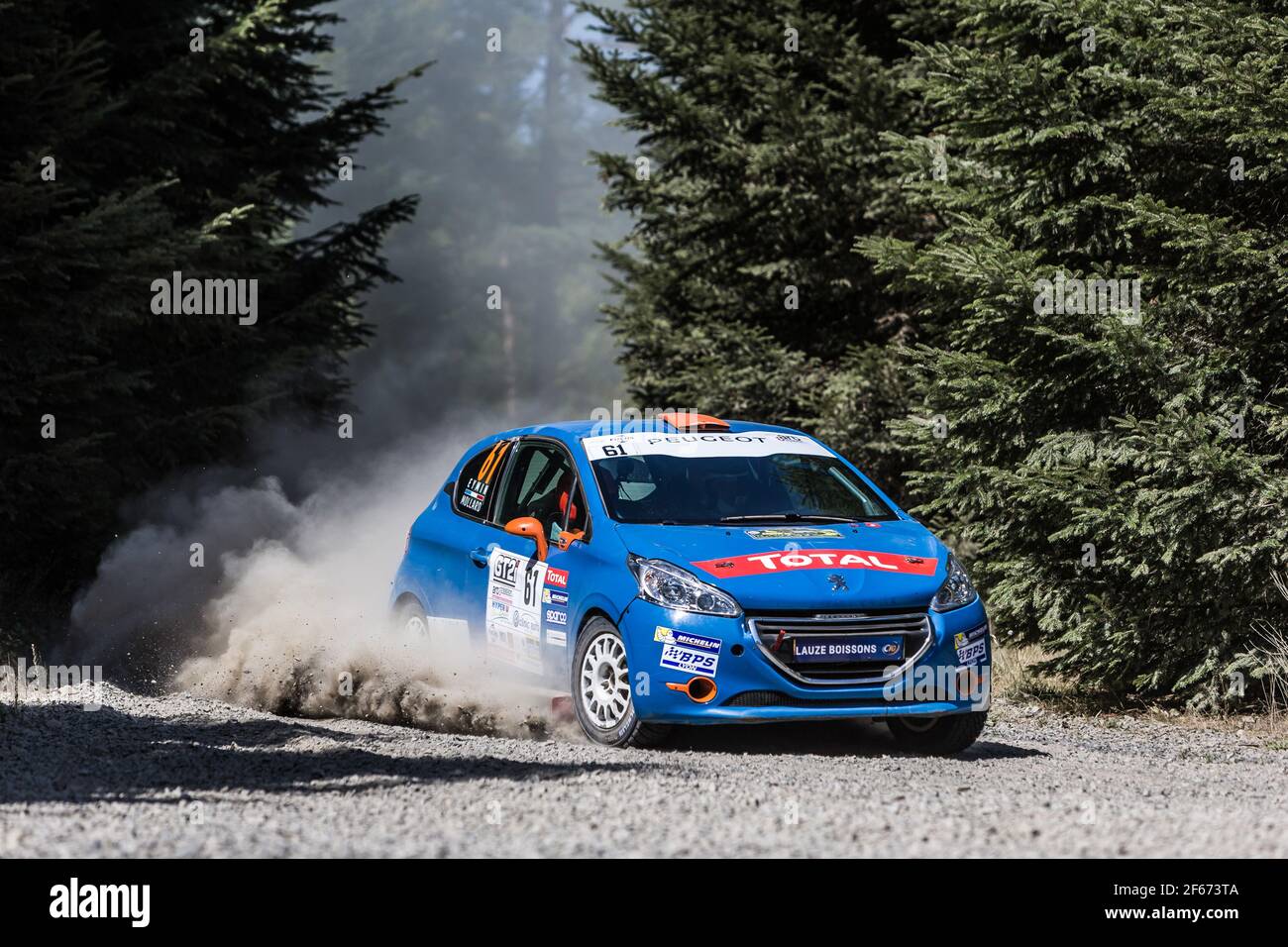 Mollard hi-res stock photography and images - Alamy