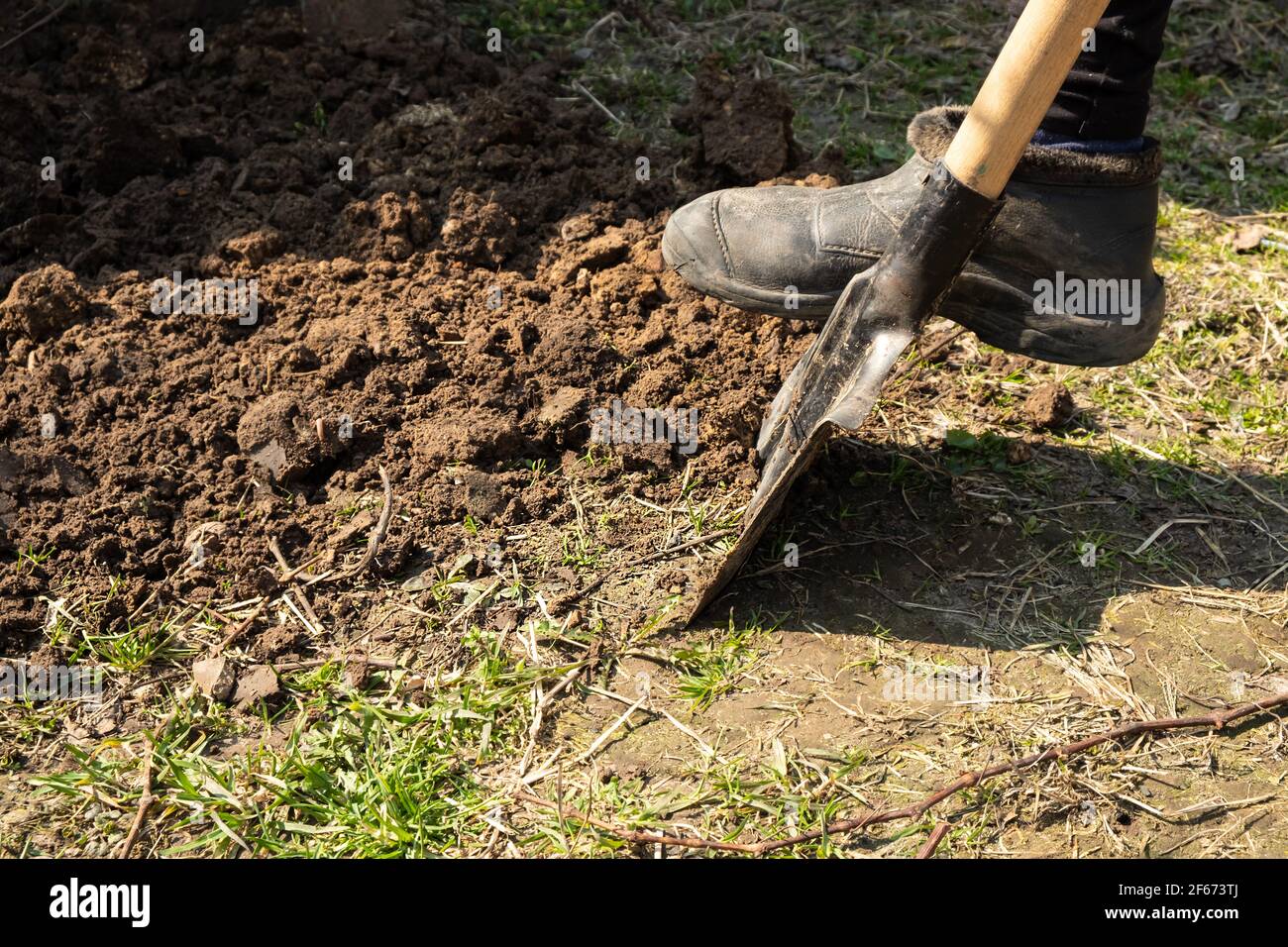 digging up soil in a flowerbed, preparing for planting Stock Photo - Alamy
