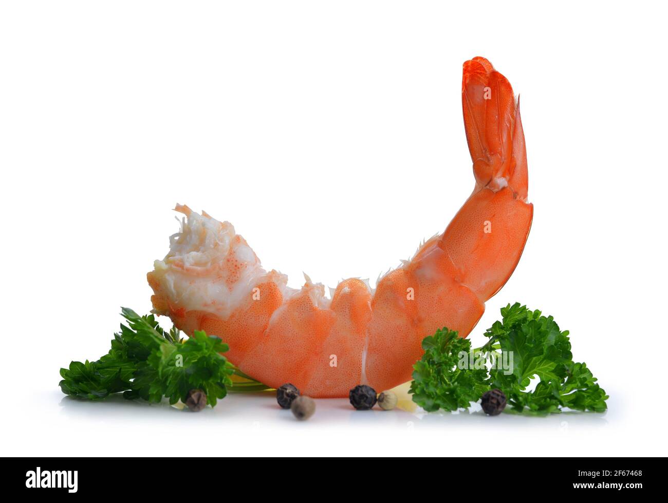 Close up of fresh shrimp isolated on white background Stock Photo - Alamy