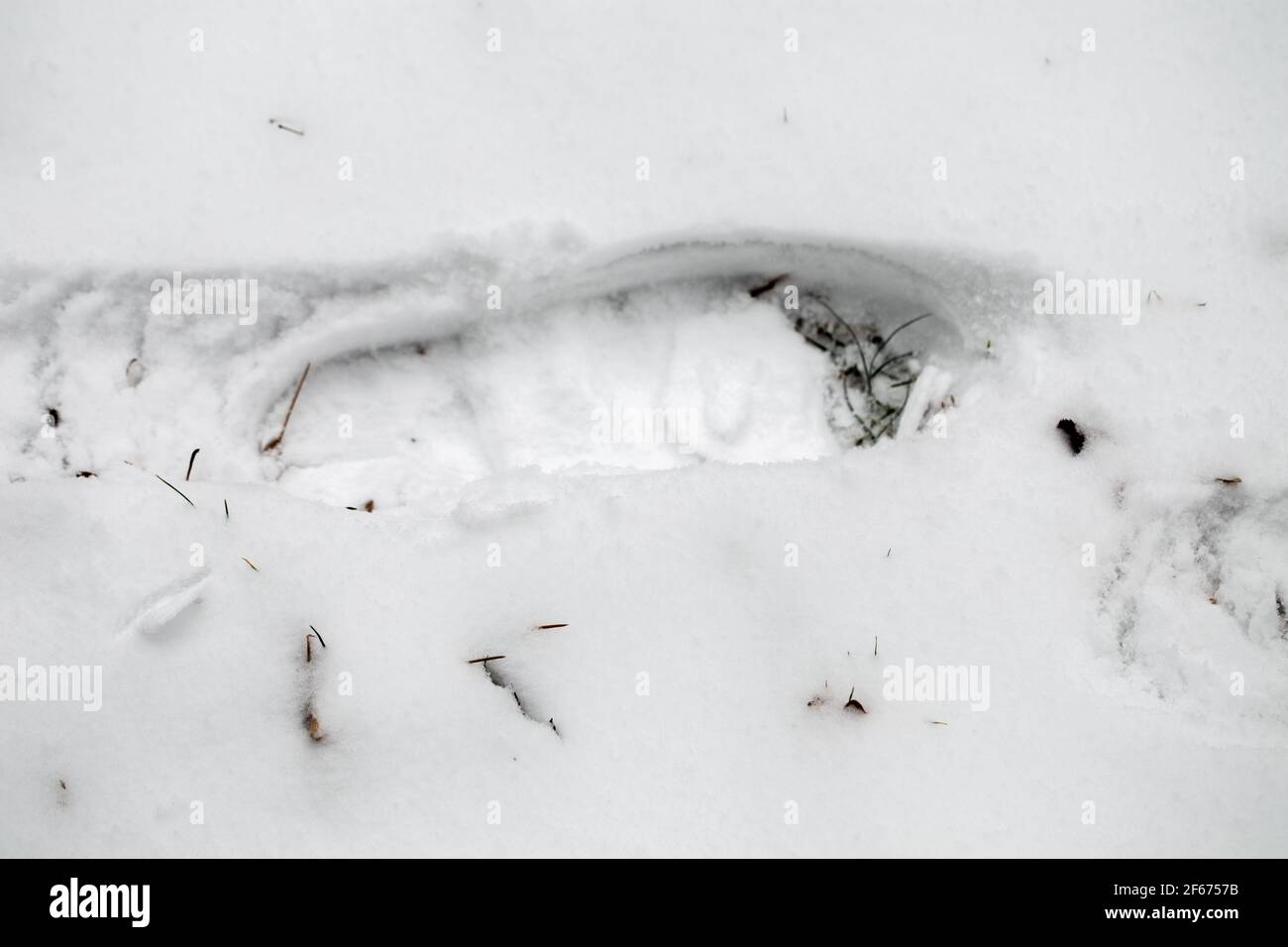 Shoe print in a thin layer freshly fallen snow. Close up Stock Photo ...