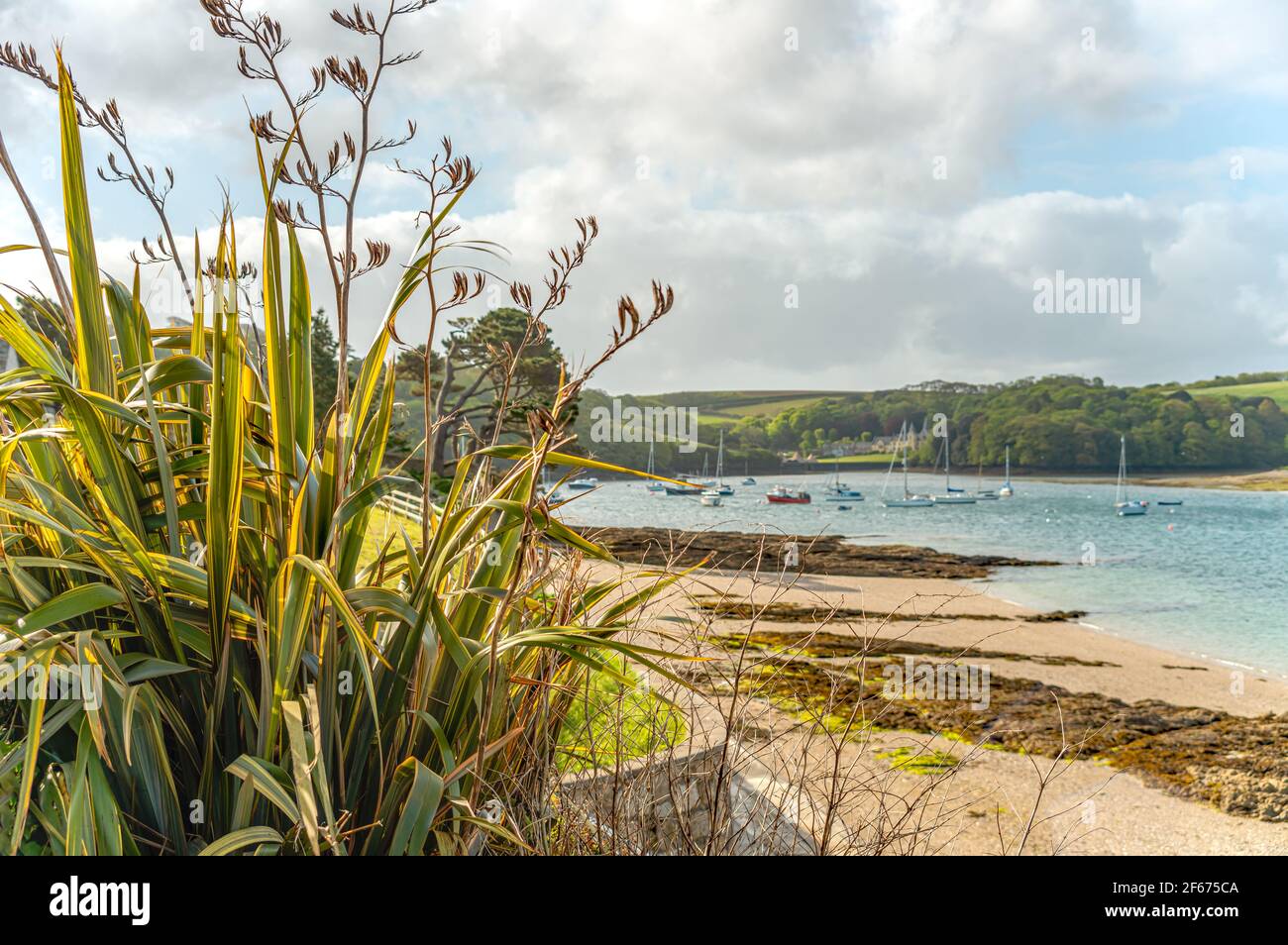 Scenic coastline of the village St Mawes, Cornwall, England, UK Stock ...