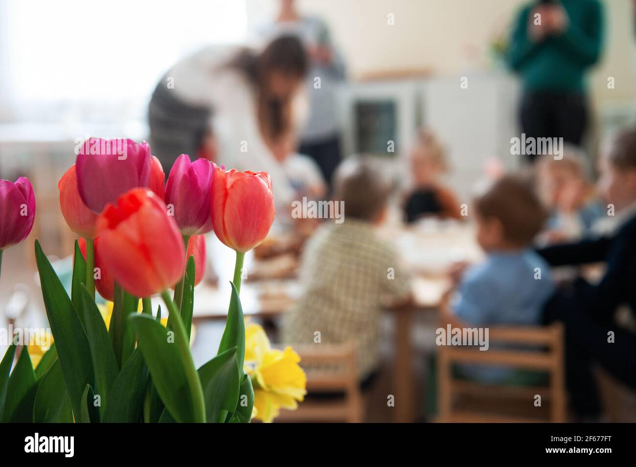 Concept of graduation in kindergarten or elementary school, springtime ...