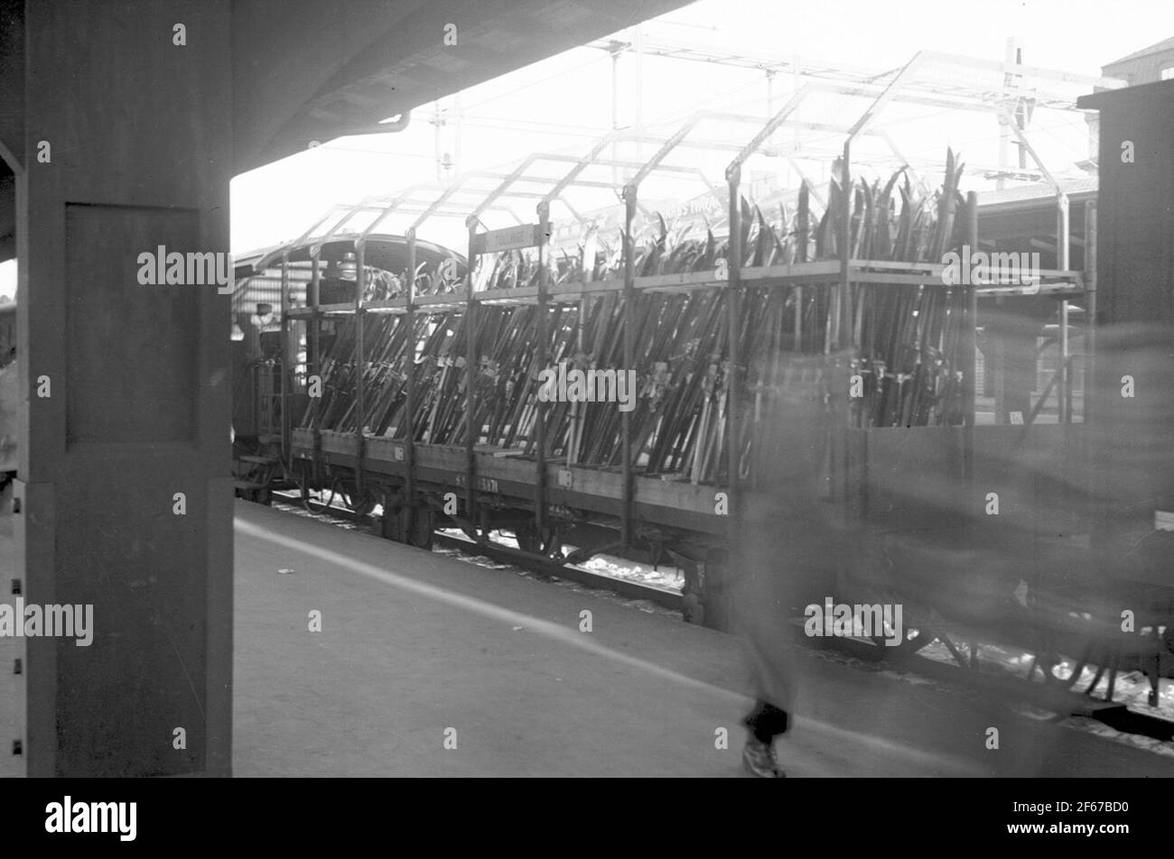 The state's railways, SJ Ski cart loaded with ski equipment Stock Photo ...