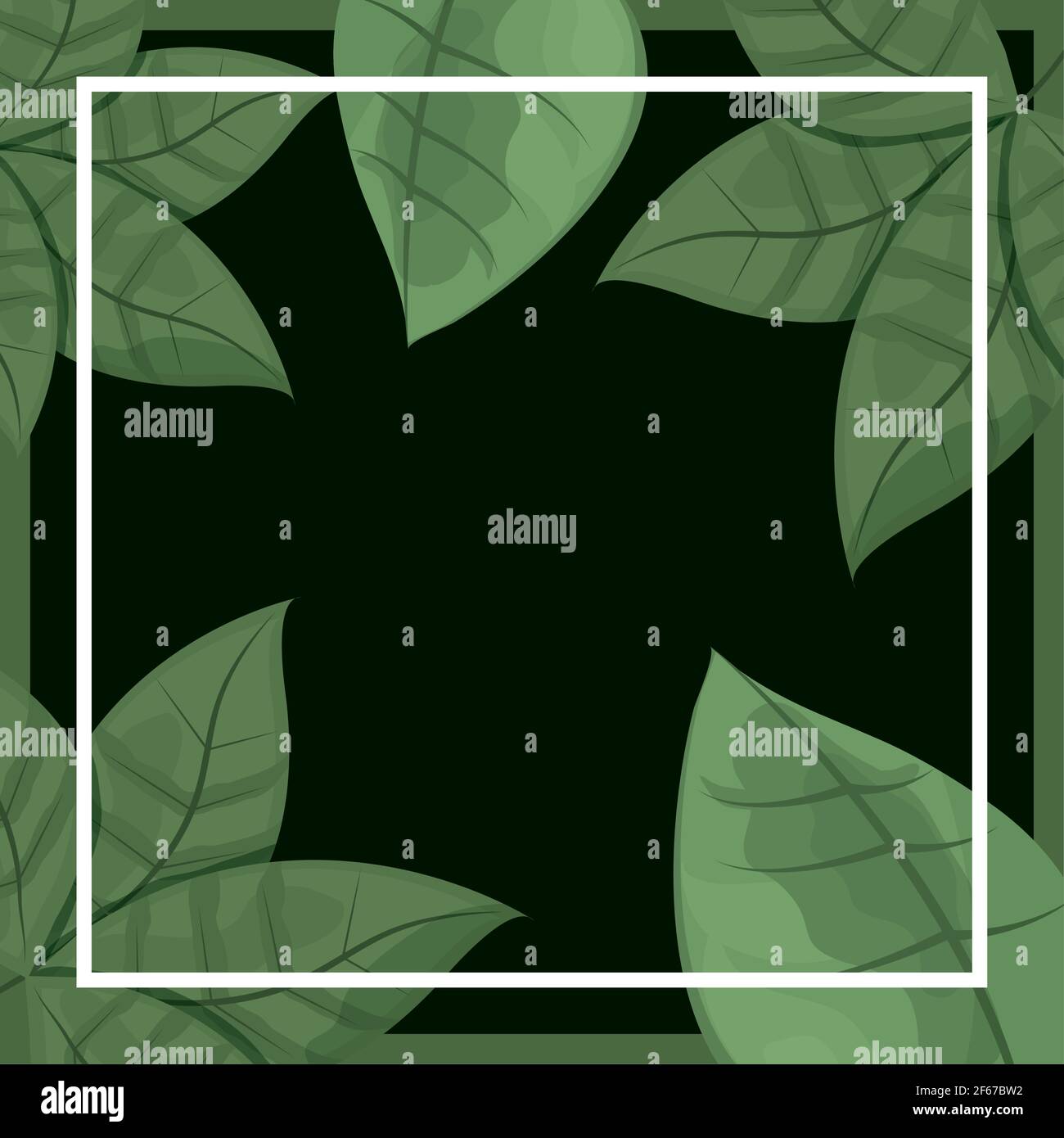 leaves plant botanical black background Stock Vector Image & Art - Alamy