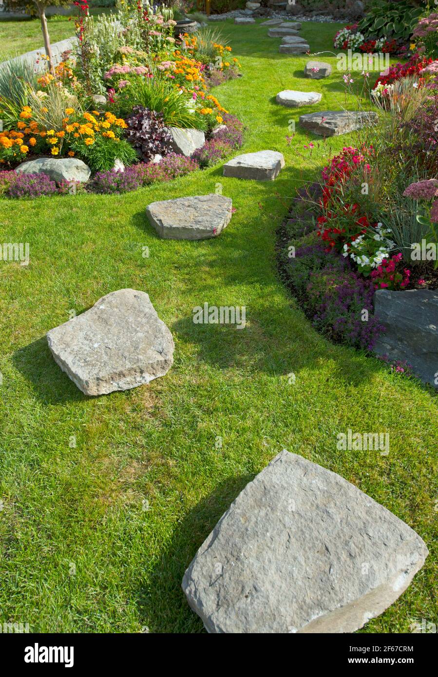 Laying out the path for stepping stones Stock Photo - Alamy