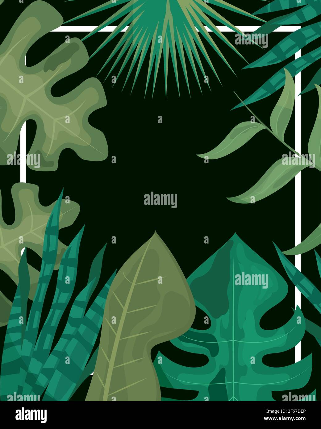 plants leaves collage dark background Stock Vector Image & Art - Alamy