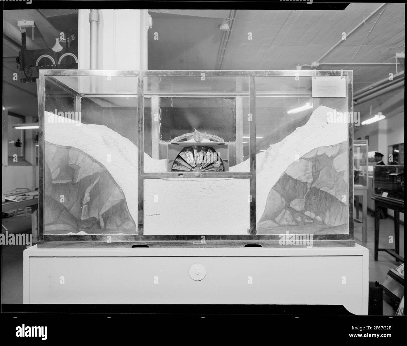 Leaves parts Black and White Stock Photos & Images - Alamy