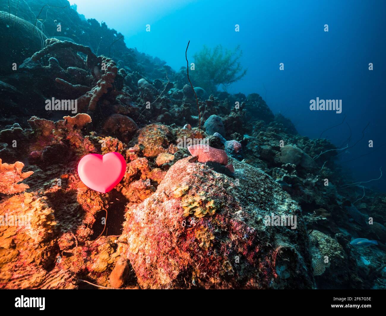 Seascape with red heart in coral reef of Caribbean Sea, Curacao ...