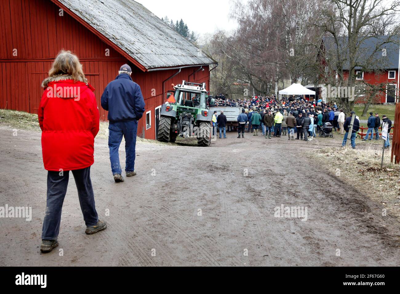 A farm auction where cows and agricultural implements / machines are ...
