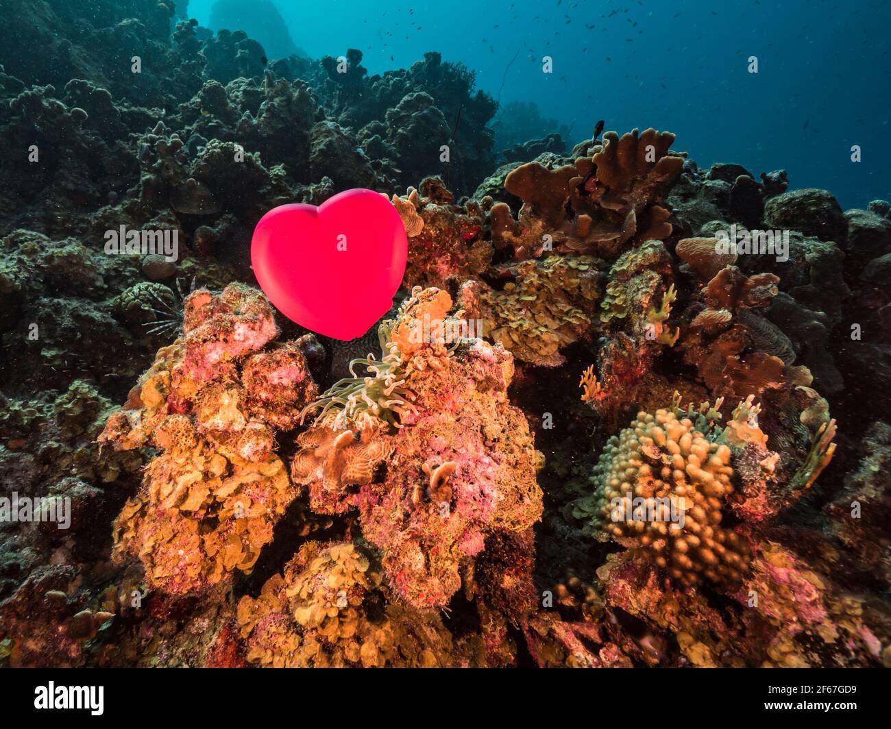 Seascape with red heart in coral reef of Caribbean Sea, Curacao ...