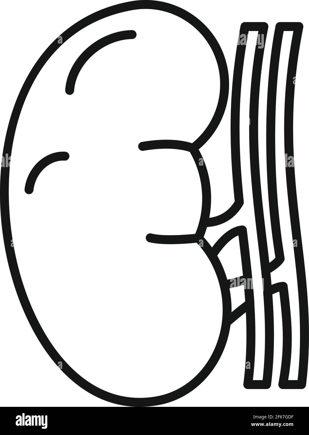 Kidney icon, outline style Stock Vector Image & Art - Alamy
