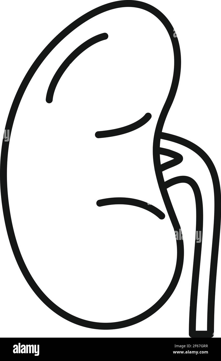 Healthy kidney icon, outline style Stock Vector Image & Art - Alamy